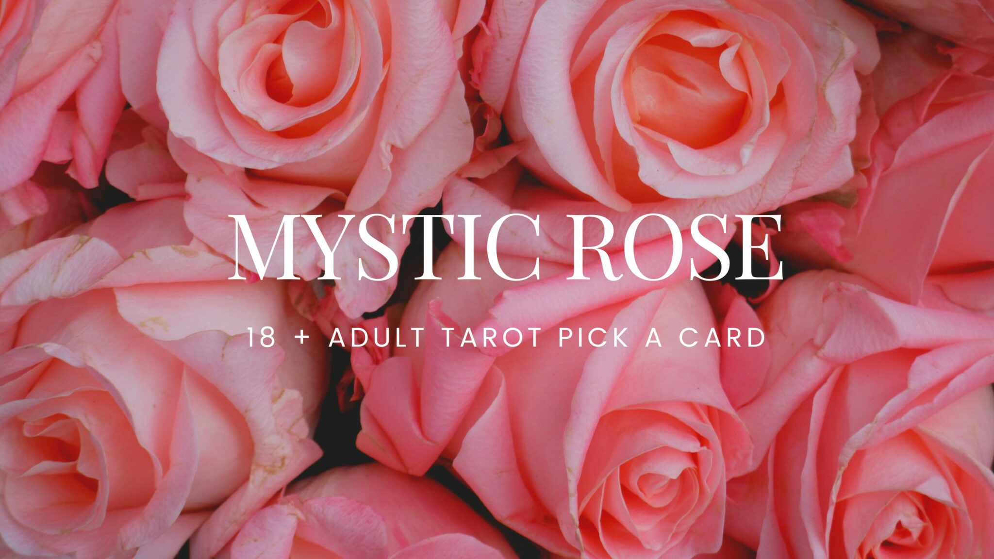 Services – Mystic Rose